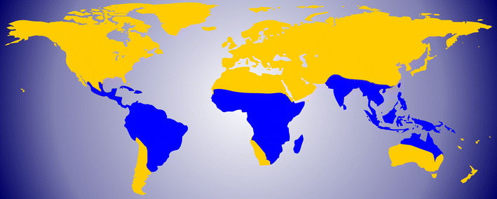 Honey Bees in America: Native Origins and Modern Return – Native Beeology